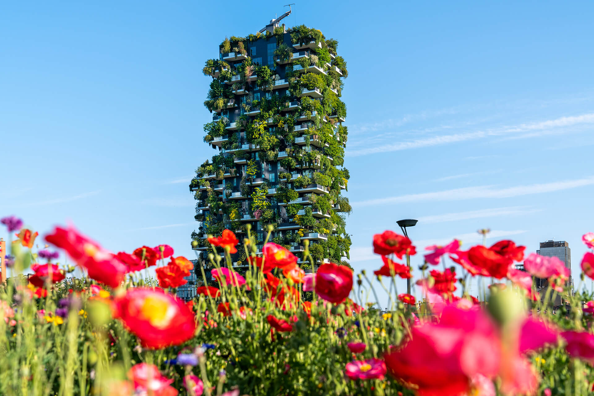 ¿Cómo es Il Bosco Verticale? - Revista Parla